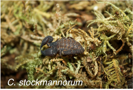 About RaMP | Research and Mentoring for Postbaccalaureates